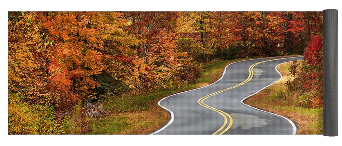 Road In The Fall • North Carolina Photography